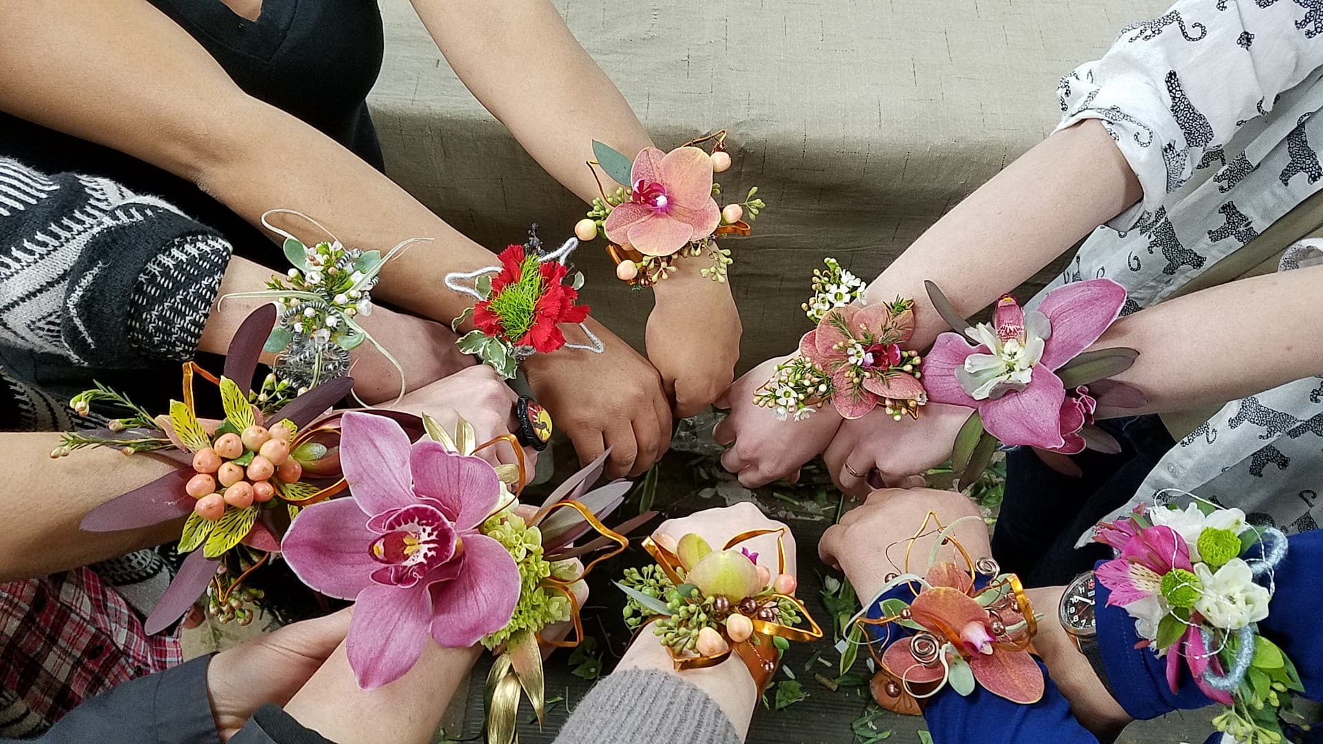 Cosage.students - Flora Elements