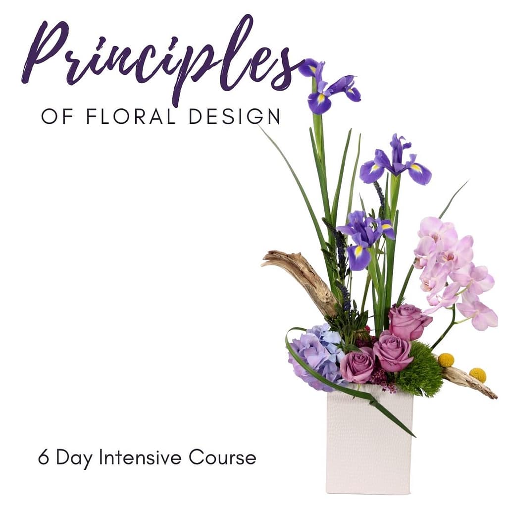 Professional Design Courses - Flora Elements